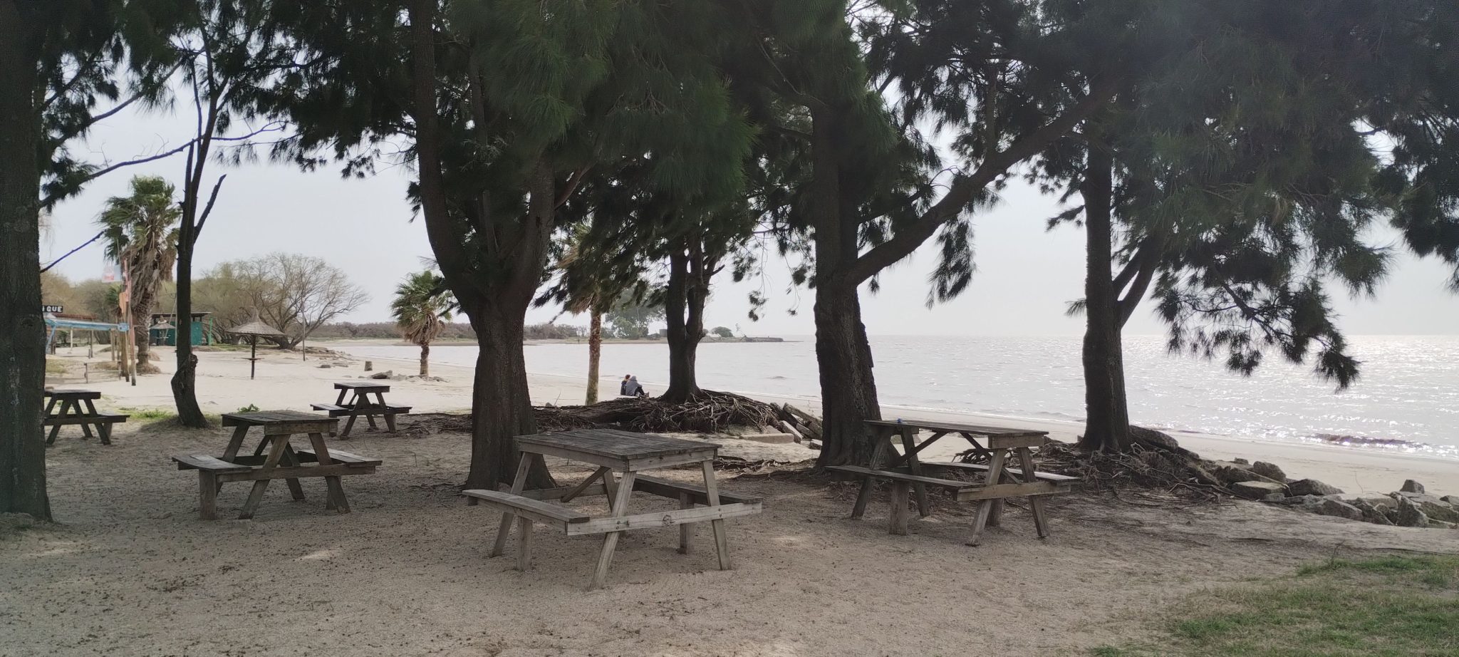 Punta Indio, un lugar natural para actividades al aire libre - Viaje Libre